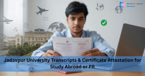 Understanding Transcript of Records: When & Why Students Need It?